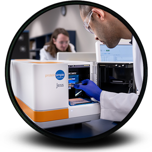 Rapid Screening of Ig Protease Drug Activity with High-Throughput ...