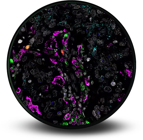 Multiomic Evaluation of Cell Therapy Distribution Webinar | ACD